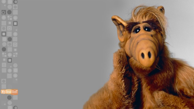 alf wallpaper,animation,snout,organism,primate,toy (#291297) - WallpaperUse