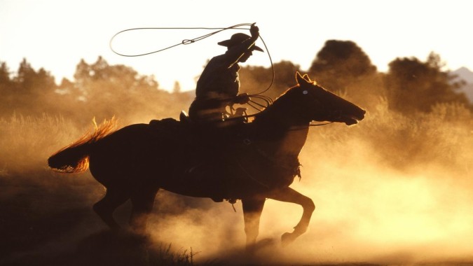 cowboy wallpaper hd,horse,rein,bridle,reining,animal sports (#301852 ...