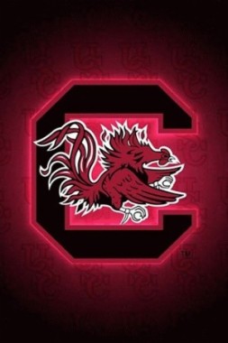 south carolina gamecocks wallpaper,logo,red,emblem,font,illustration ...