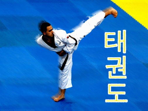 tkd wallpaper,taekwondo,choi kwang do,tang soo do,judo,martial arts ...