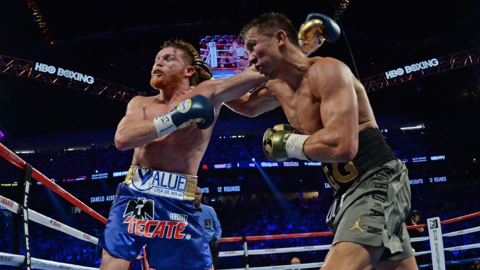 Canelo Wallpaper- WallpaperUse